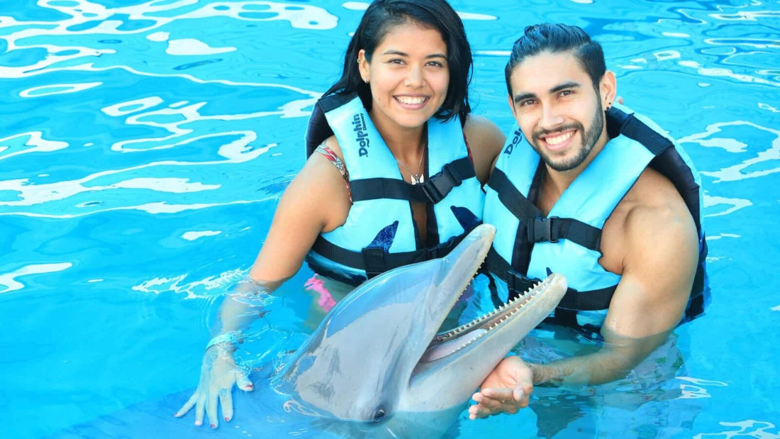 La Experiencia del Nado con Delfines en Nuevo Vallarta